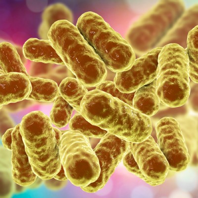 CIPROX AQUA | Antibióticos | Avicultura - Porcicultura