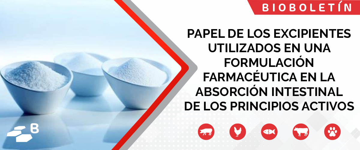 Papel de los excipientes utilizados en una formulación farmacéutica en ...